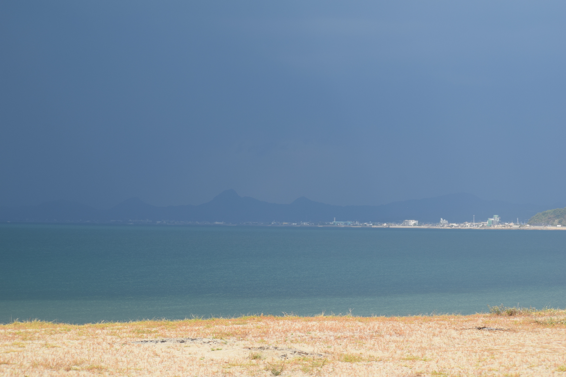 全くのノーマーク。: ドラオ店長ブログ