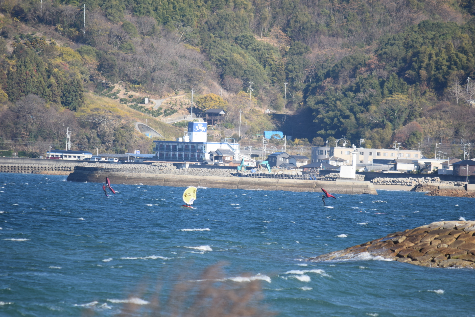 今日も20℃越えだって。: ドラオ店長ブログ