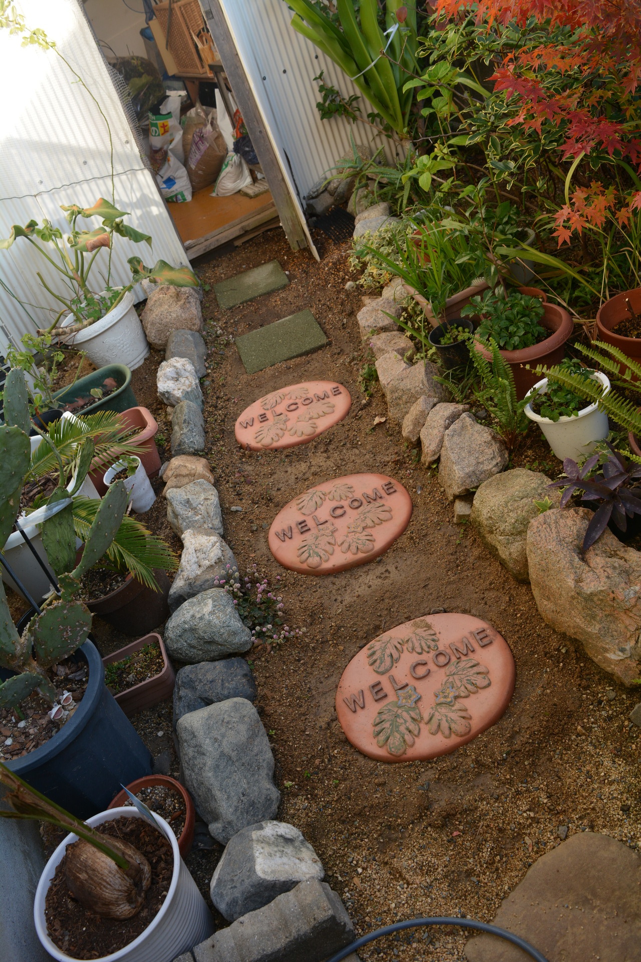 冷たい雨です。: ドラオ店長ブログ